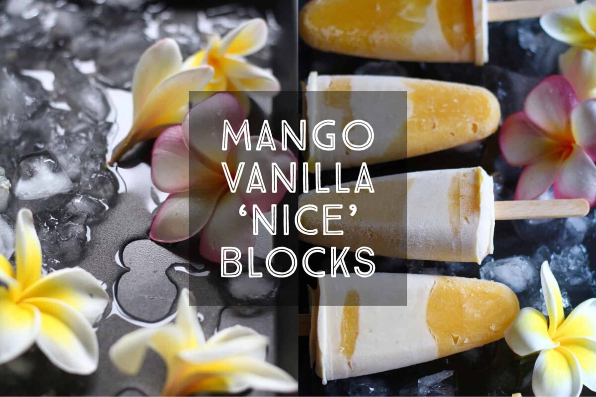 How to make Mango Vanilla Nice Blocks - Days of Jay