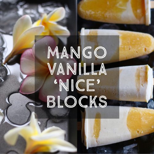 How to make Mango Vanilla Nice Blocks - Days of Jay