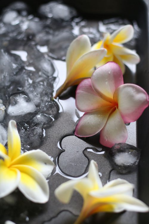 How to make Mango Vanilla Nice Blocks - Days of Jay