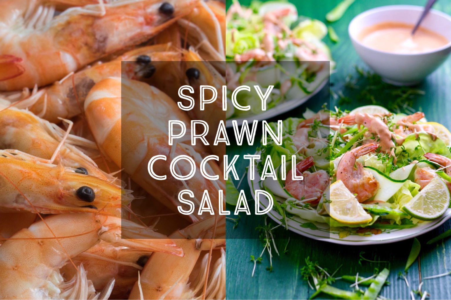 Spicy Shrimp Cocktail Salad - Days of Jay