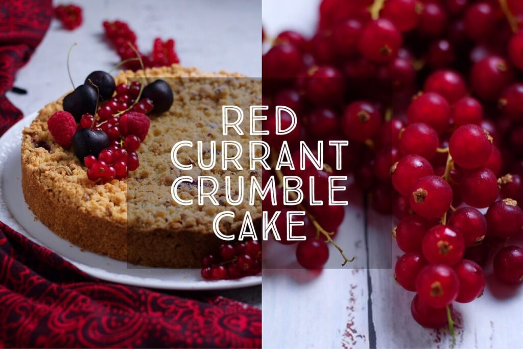 How to Make Red Currant Crumble Cake - Days of Jay