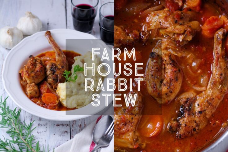 How to make delicious Farmhouse Rabbit Stew - Days of Jay