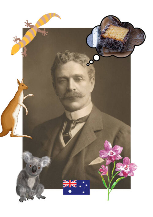 How to make Classic Australian Lamingtons - Days of Jay