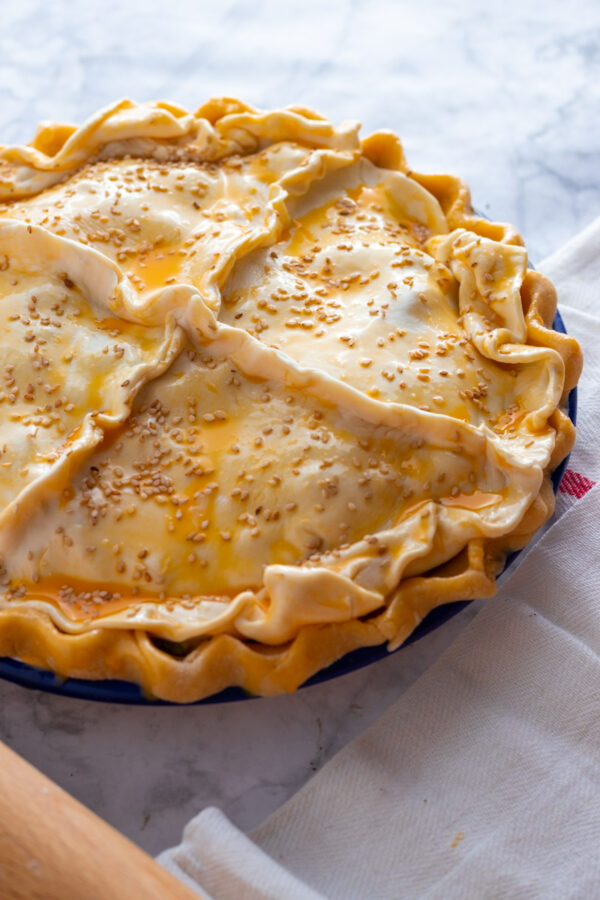 How to make a double crust Creamy Chicken Pie - Days of Jay