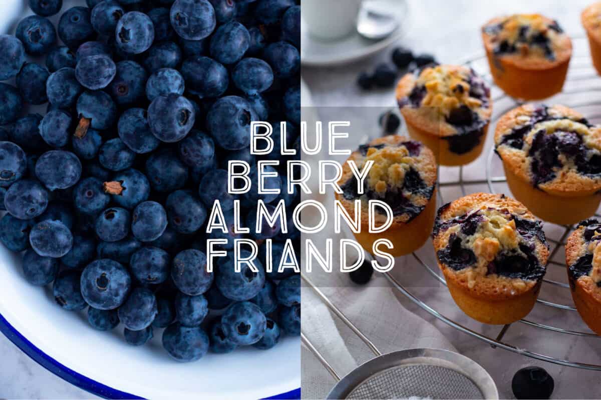 Super Easy Blueberry Friands - Days of Jay
