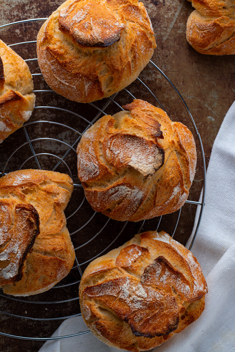 Easy Overnight Bread Rolls - Days of Jay