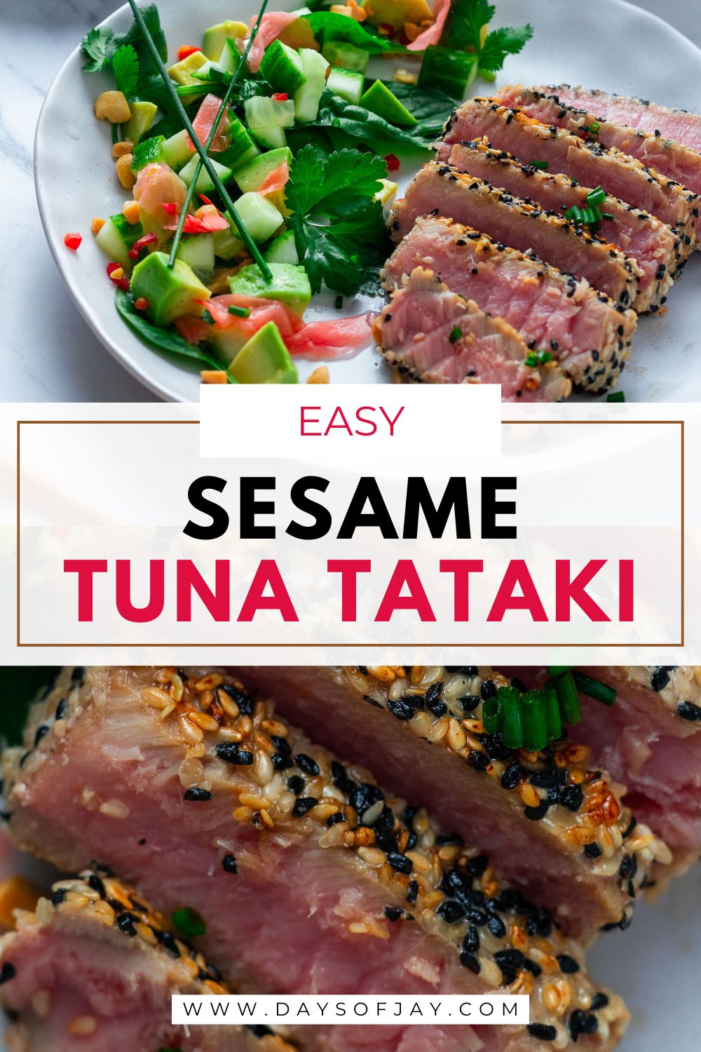 How to make Sesame Crusted Tuna Tataki - Days of Jay